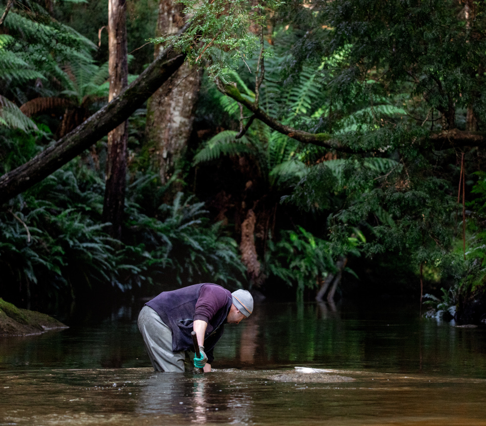 Des Gray - The Hobart / Launceston Magazine
